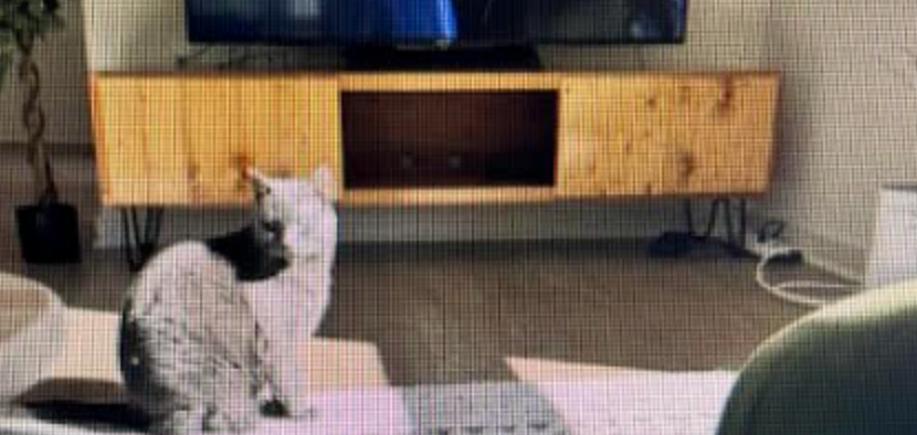 Custom Order for Donna: EXPEDITED! – Ocean Beach Pallet Co.